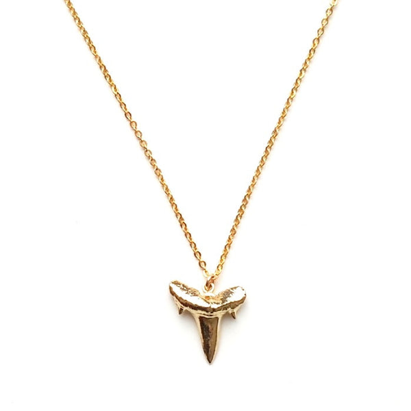 Gold Shark Tooth Pendant Necklace – Katie Joëlle
